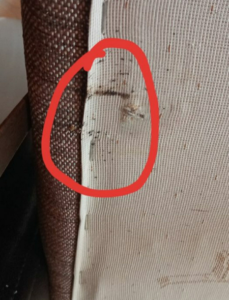 Dezinfeksiya Klapa va tarakan hidsiz