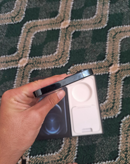 iPhone 12 pro max