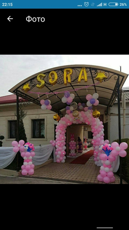 Ayiq va mishkalar va ofarmleniya xizmati