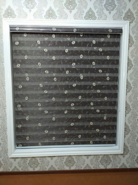 Елиганд   ЖАЛЮУЗИ