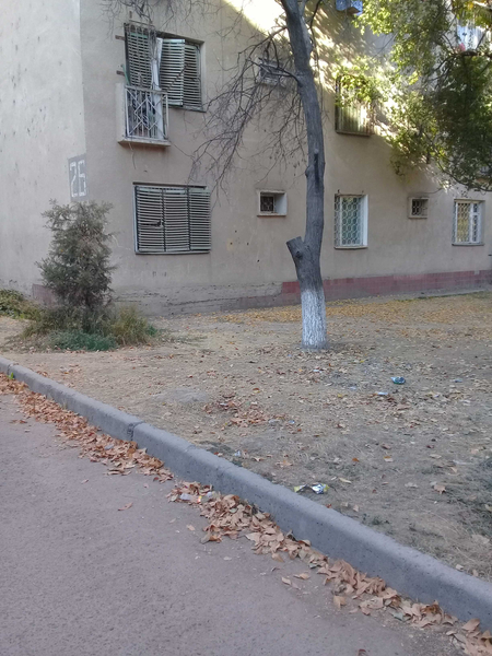 Иппотека под Офис 2х.ком.кв.Торец,подвал,огород.1этаж 77 серия.60кв.м.