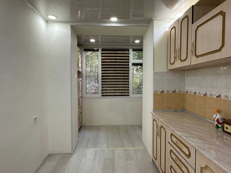 м.Космонавтов Ц-7 Школа 110 1-комн 3/4 33 м² ремонт меб/тех кирпич