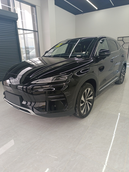 Byd song plus champion edition