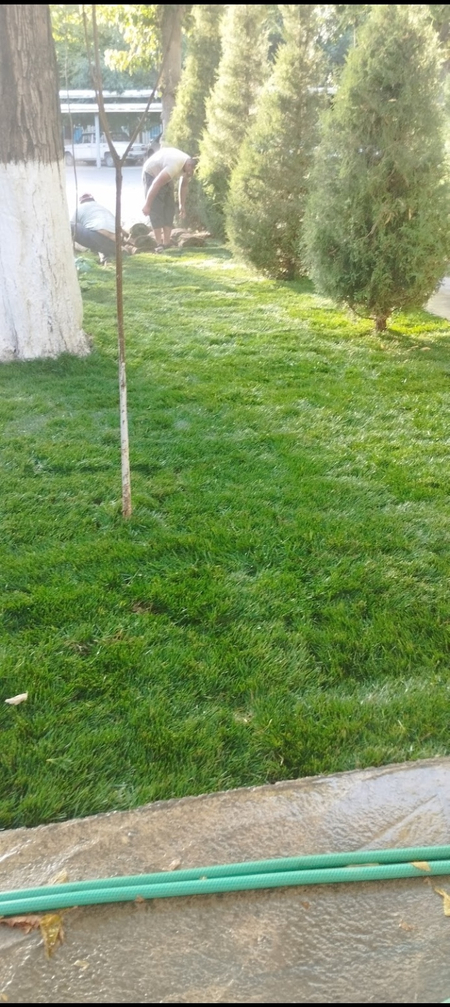 zof agro services