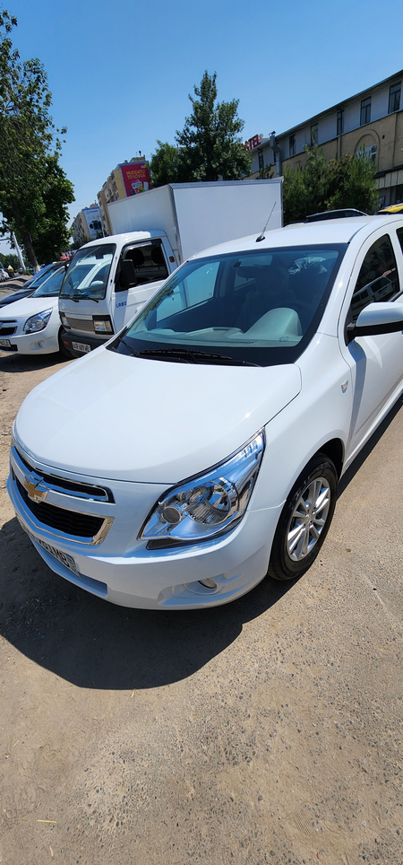 COBALT LTZ 2024 Avtomat