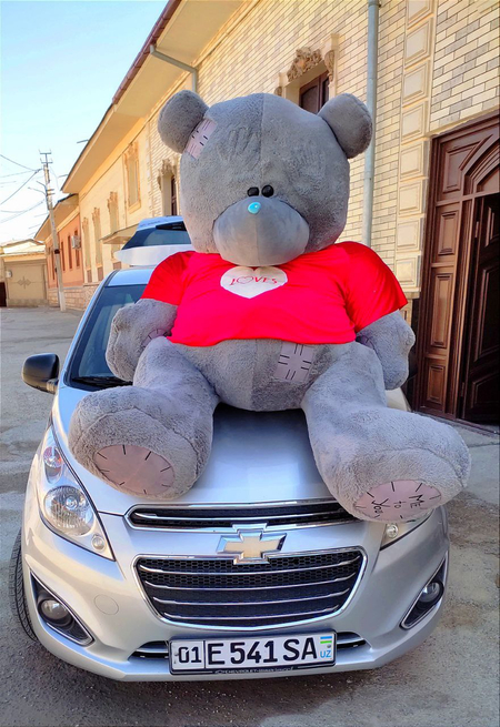 Teddy va boshqa yumshoq oʻyinchoqlar
