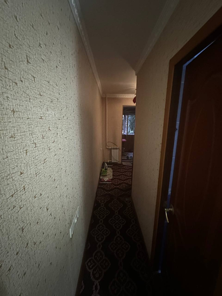 1/3/4 Буз-2 ЭКО базар