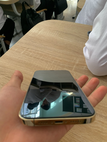 iphone 12 Pro Max 128Gb