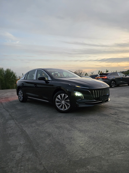 Hongqi eqm5 tayyor nalicha