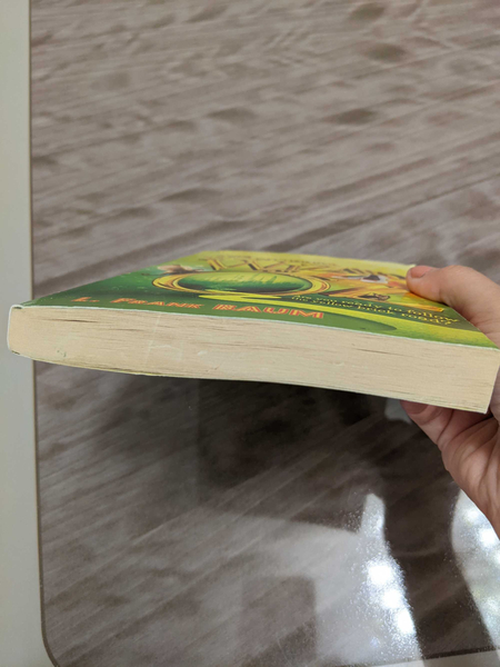 The Wonderful wizard of oz книга на английском