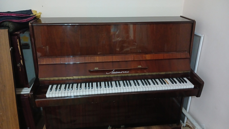 pianino sotiladi lastochka,