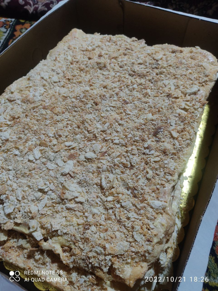 Xonadon tortlari