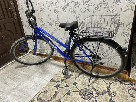Velosiped Mc KENZIE Germaniya