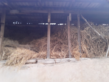 Beda bog'langan arzon narxda