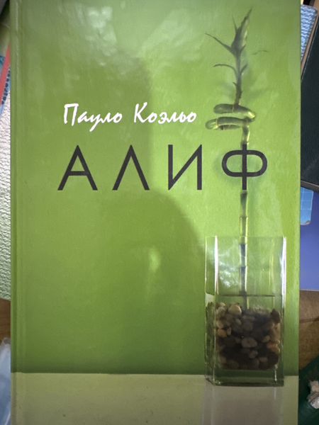 Чоликуши.Синдни Шелдон Орзикиб кутаман эртани,Алиф Пауло Коэльо