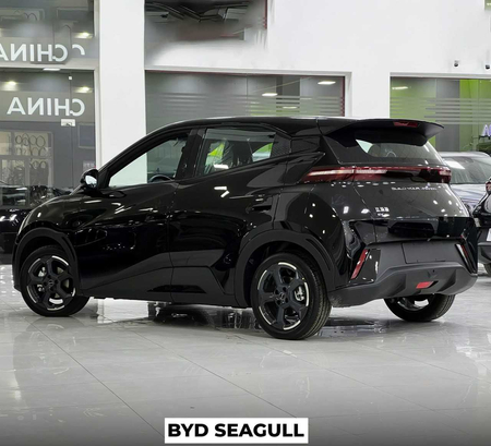 BYD seagull eng qulay elektromobil