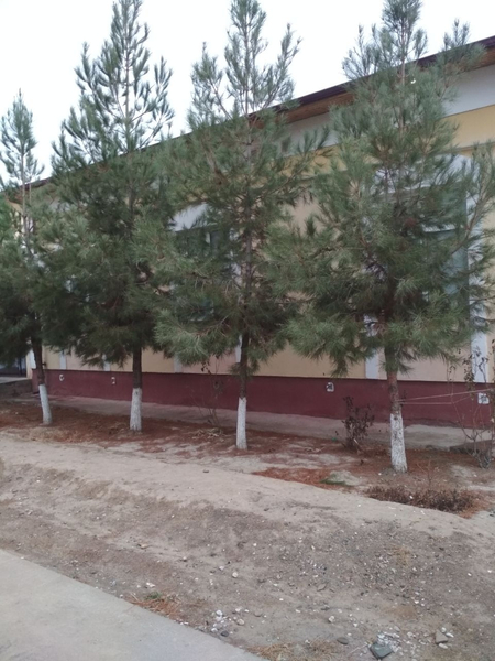 Navoiy viloyati DO'STLIK 2014 MASSIVIDA