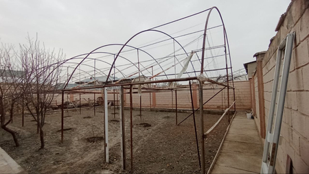 Парник таййор холда