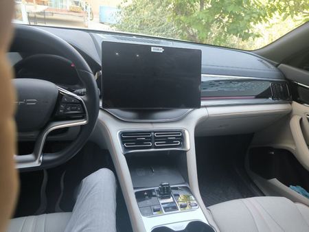 BYD чемпион 2023