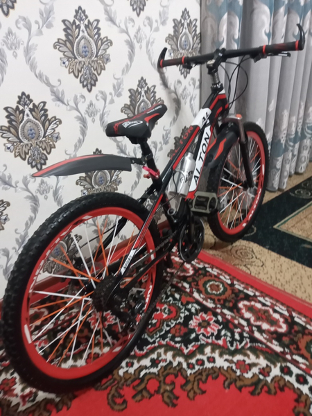 Алтон скоростной 24