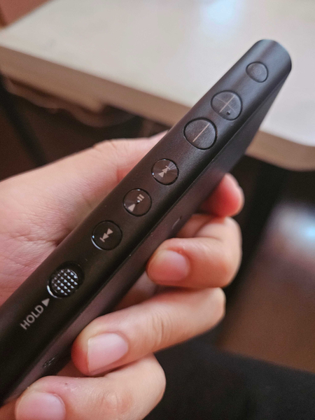 Sony nw-zx 300 walkman