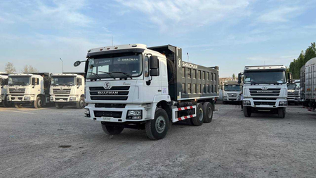 Самосвал SHACMAN (25000кг) Спальня (1х)