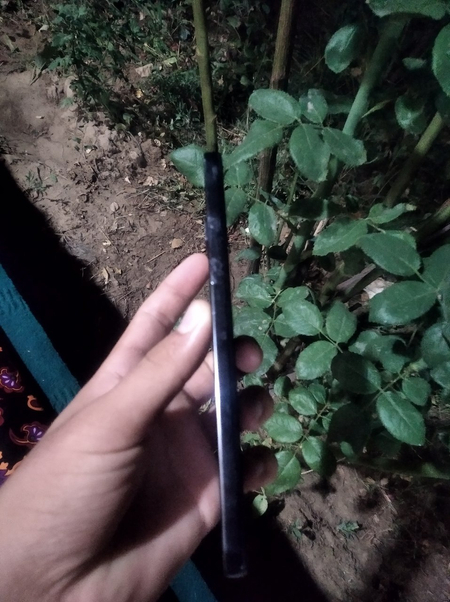 Redmi not 11 pro