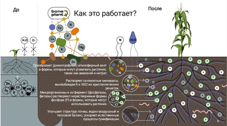Био симулятор.Быстрое и полезное средство для роста растений.
Быстрое