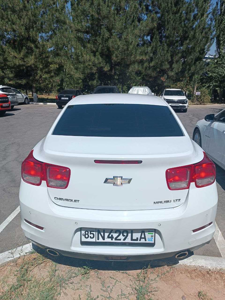 MALIBU 1 Sotiladi SROCHNO Full