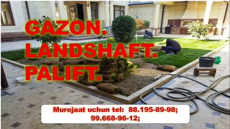 Gazon (ekish yotqizish tamirlash o'rish )  bog'bonchilik archa kesish