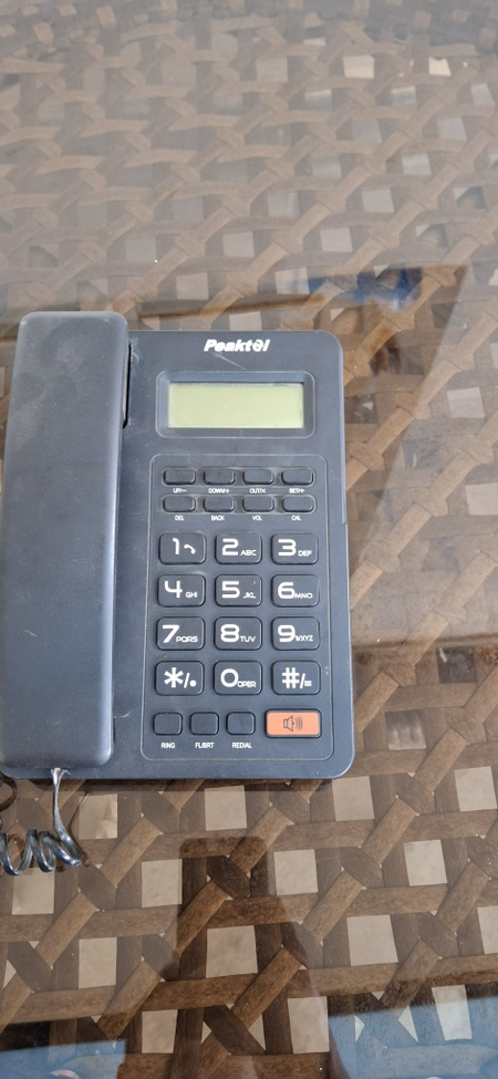 Damashni telefon