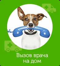 Ветеринар врач круглостучно выезд на дом Veterinar vrach xizmati