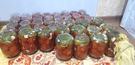 Zakazga salyoni salat kampotlar yopib beramiz
