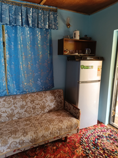 Дача в Чимгане. Отдых на природе