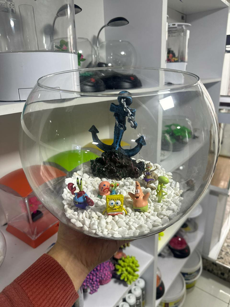 Dumaloq Akvarium New