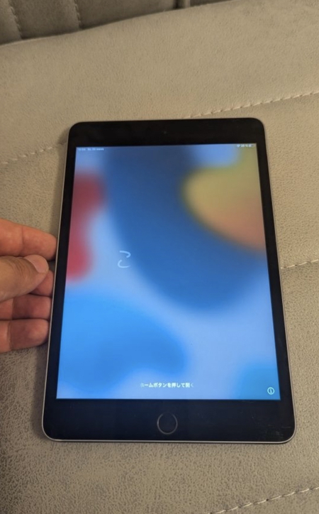 ipad mini 4 / touch id / состояние идеал