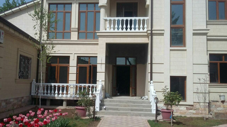 Xarxil turdagi balasenalar
