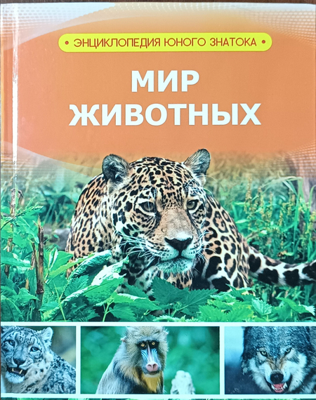 Детские книги (0+)