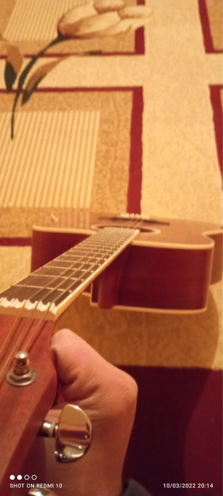 Italyanskiy matilda gitara
