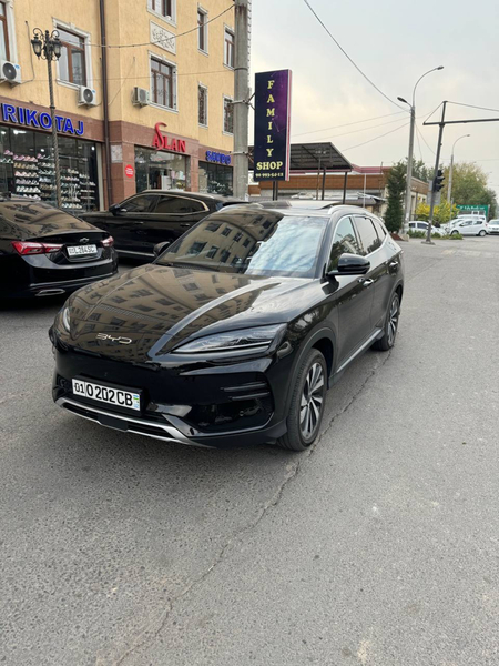 Byd Chenpion Full 605