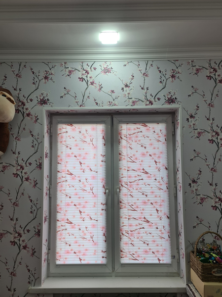 Biz sizga sifatli jalyuzi pardalrini taklif etamiz