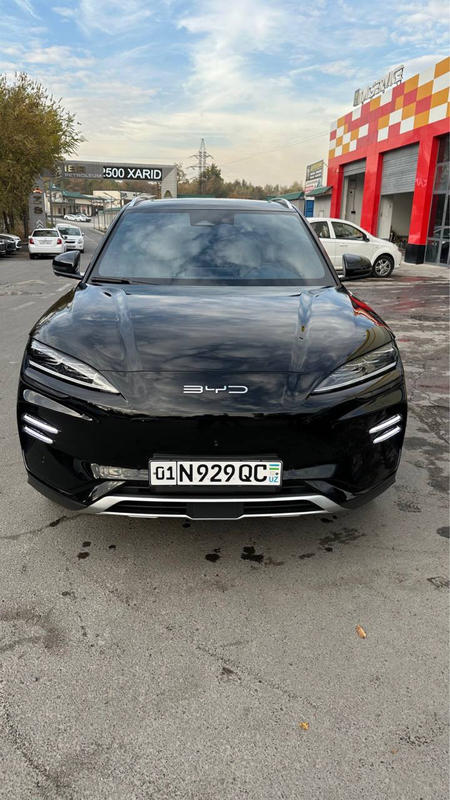 BYD CHenpion sotiladi