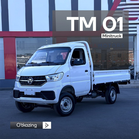 Jac TM 01yuk tashuvchi