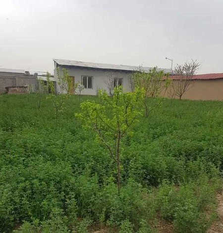 Turkiston maxallada 8 sotixli xovli sotiladi. Nosirbek