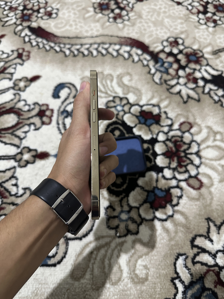 12 pro max