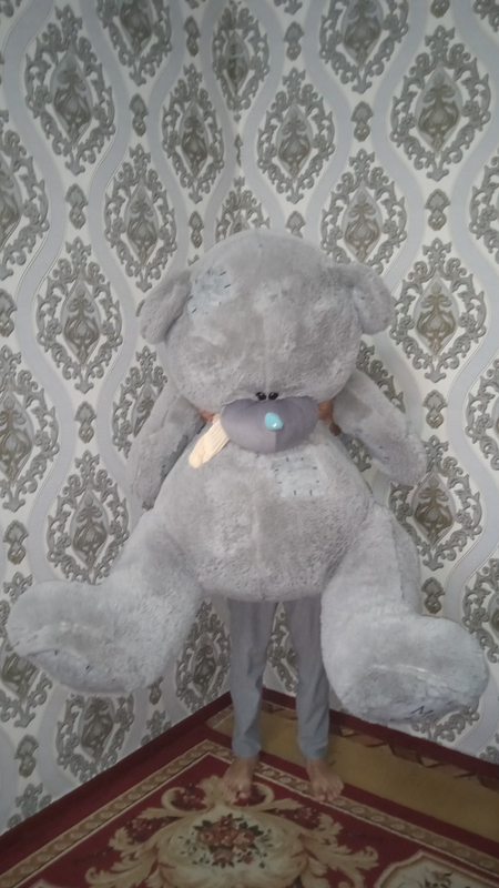 Teddi ayiq kattasi