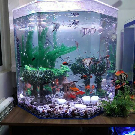 Akvarium Zakasga Yasimiza Har Xil Razmerda
