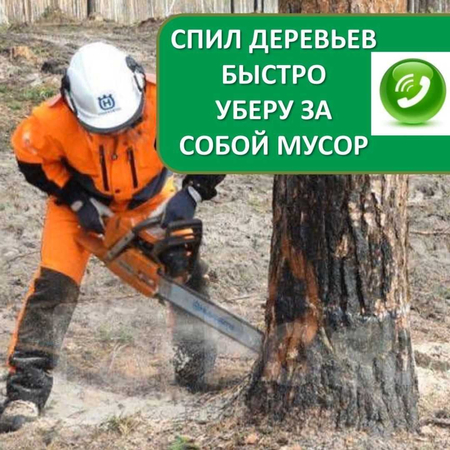 Спил и обрезка деревьев, удаление и вырубка деревьев