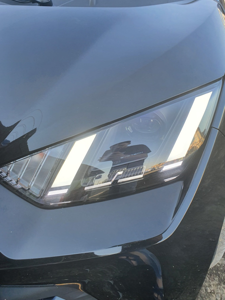 Byd seagull sotiladi 2023y