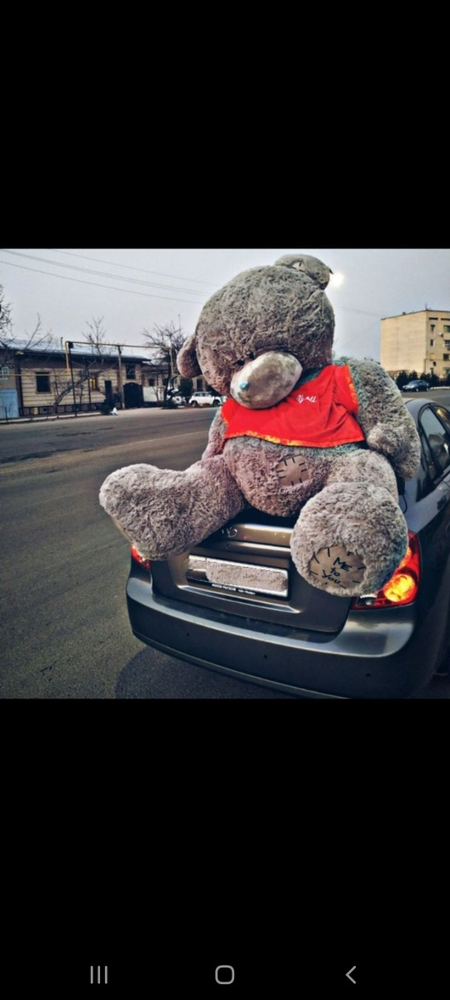 Teddy orginal 20% SKIDKAA